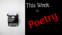 Blog – The Journal